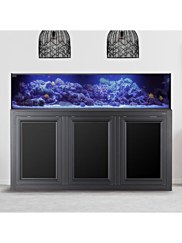 Aquarium - The Hidden Reef, Inc