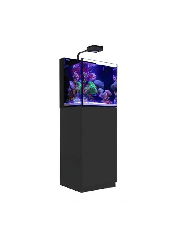 Red Sea - The Hidden Reef, Inc