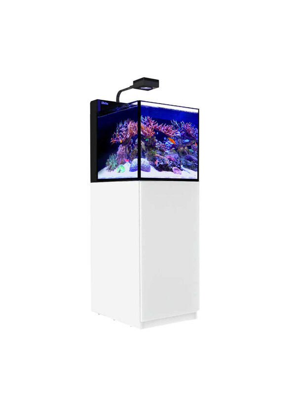 Aquarium - The Hidden Reef, Inc