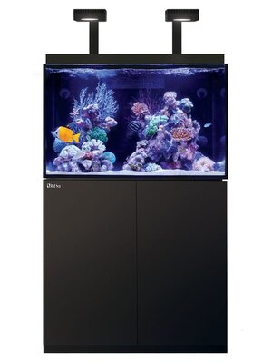 Aquarium - The Hidden Reef, Inc