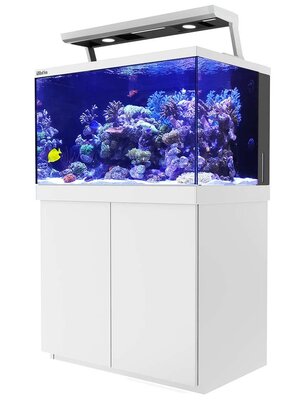 Aquarium - The Hidden Reef, Inc