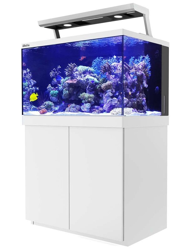 Aquarium - The Hidden Reef, Inc