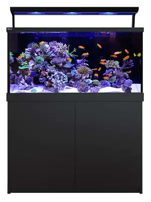 Aquarium - The Hidden Reef, Inc