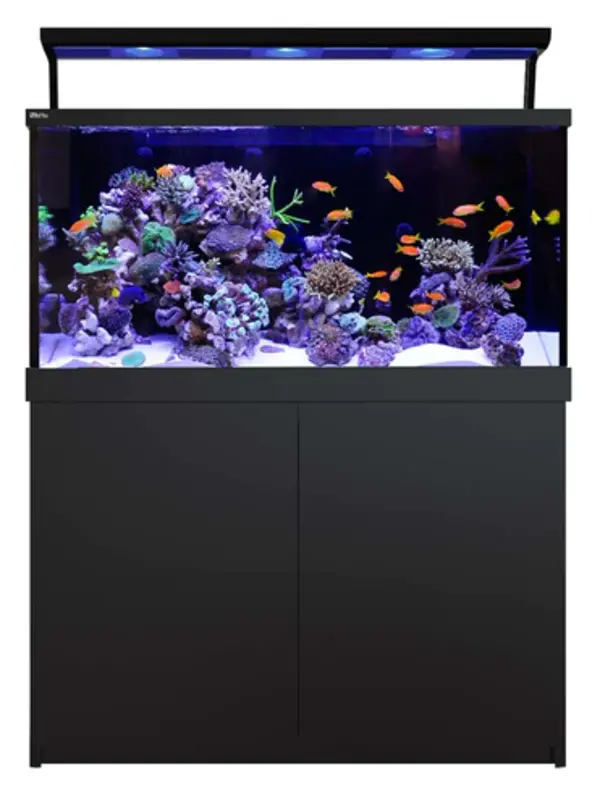 Aquarium - The Hidden Reef, Inc