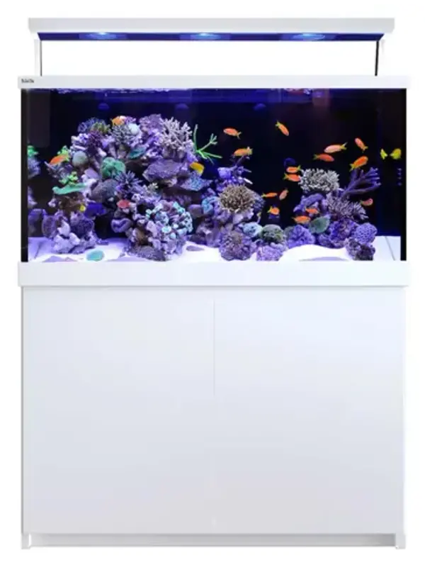 Aquarium - The Hidden Reef, Inc