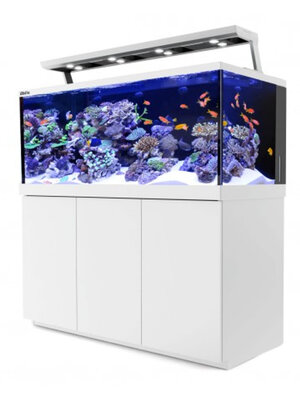 Aquarium - The Hidden Reef, Inc