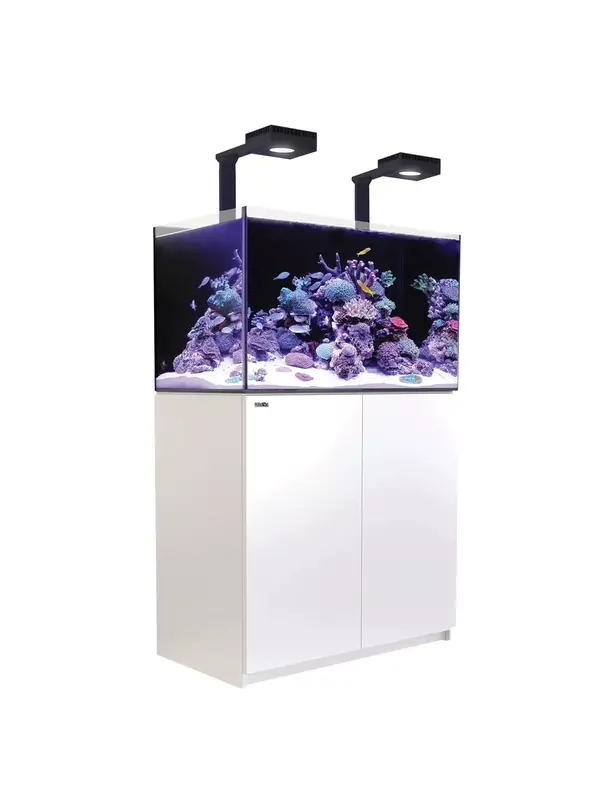 Aquarium - The Hidden Reef, Inc