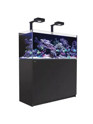 Aquarium - The Hidden Reef, Inc