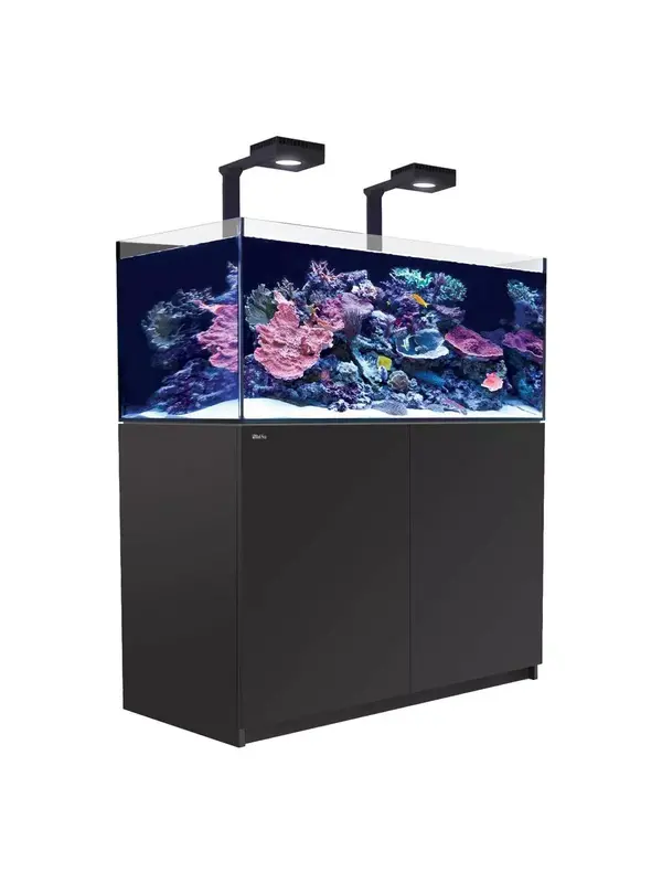 Aquarium - The Hidden Reef, Inc