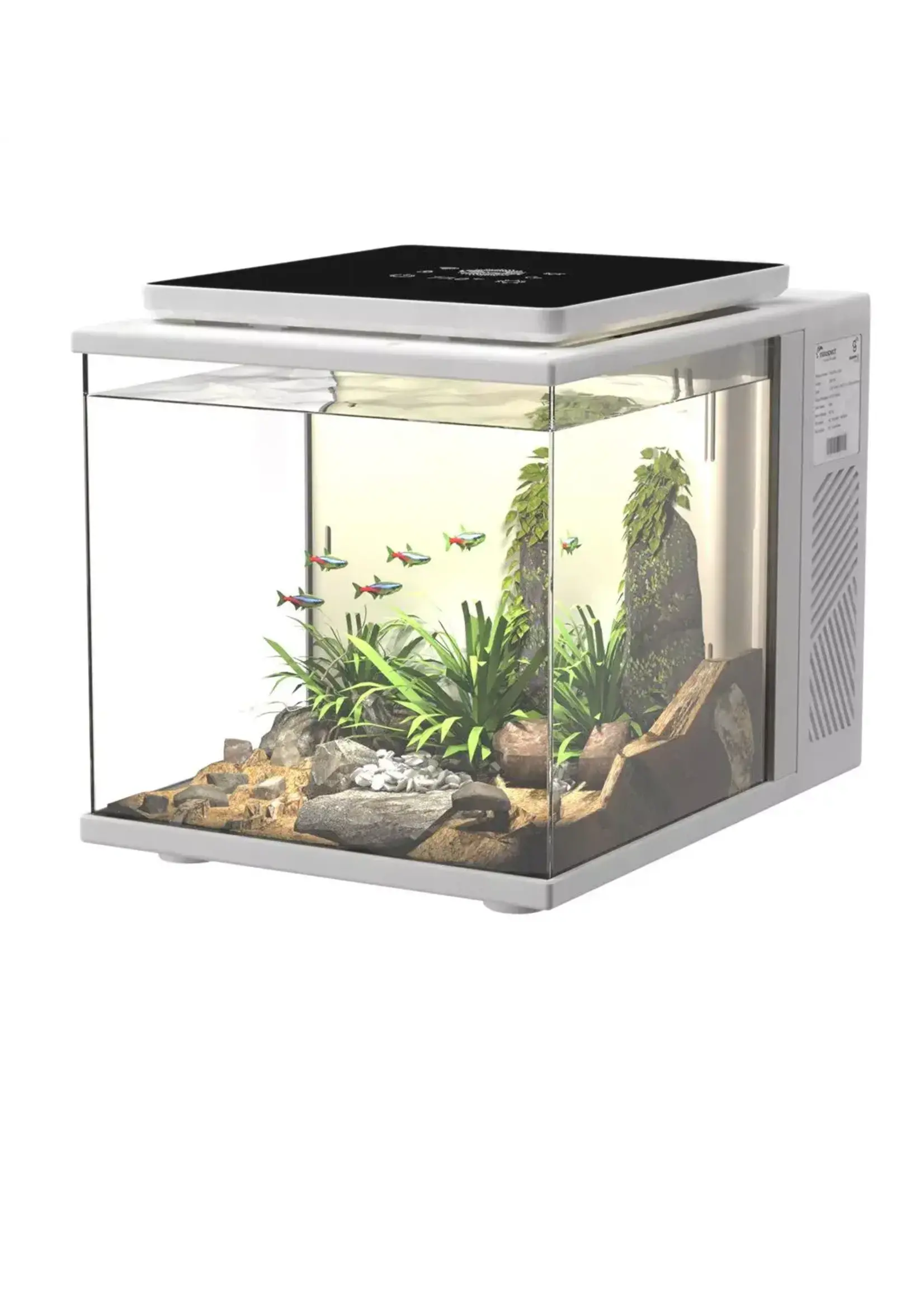 MAXSPECT DICE SERIES PICO CUBE AQUARIUM 2 G JAZZY WHITE - The Hidden ...