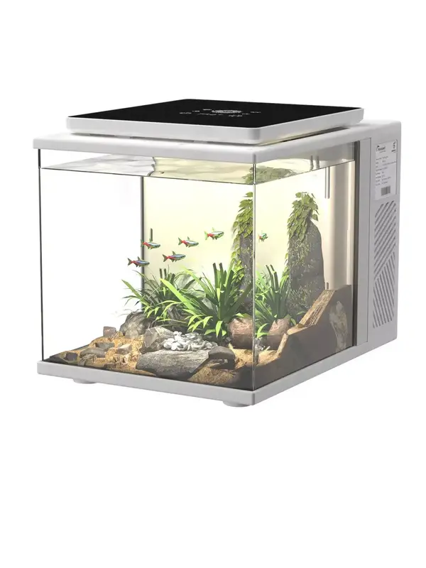 Aquarium - The Hidden Reef, Inc