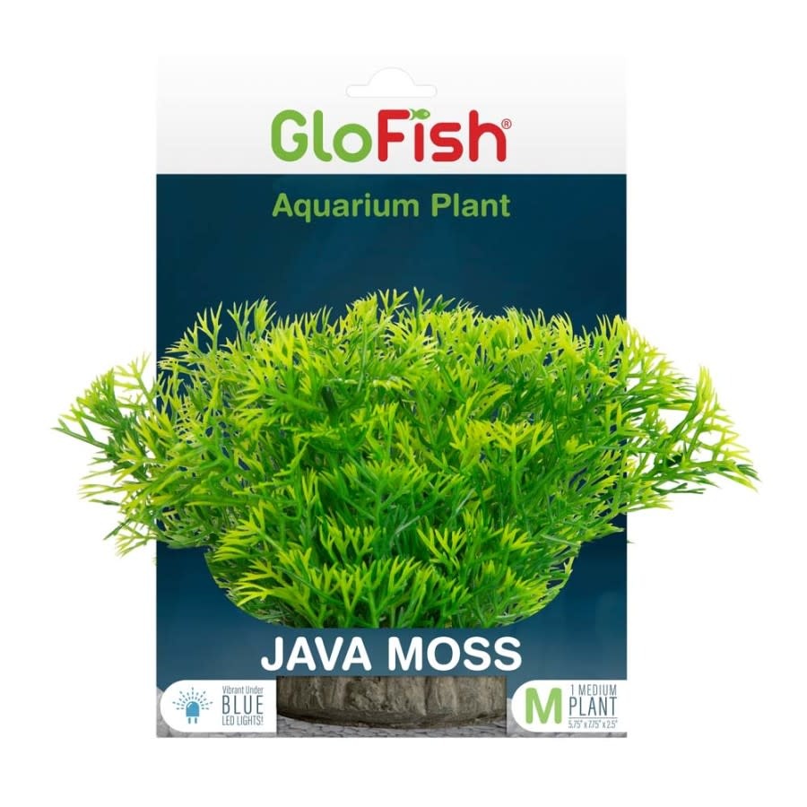 TETRA GLOFISH JAVA MOSS PLANT MD - The Hidden Reef, Inc