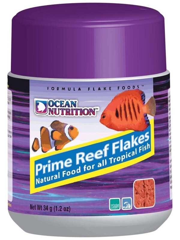 The Hidden Reef, Inc - The Hidden Reef, Inc