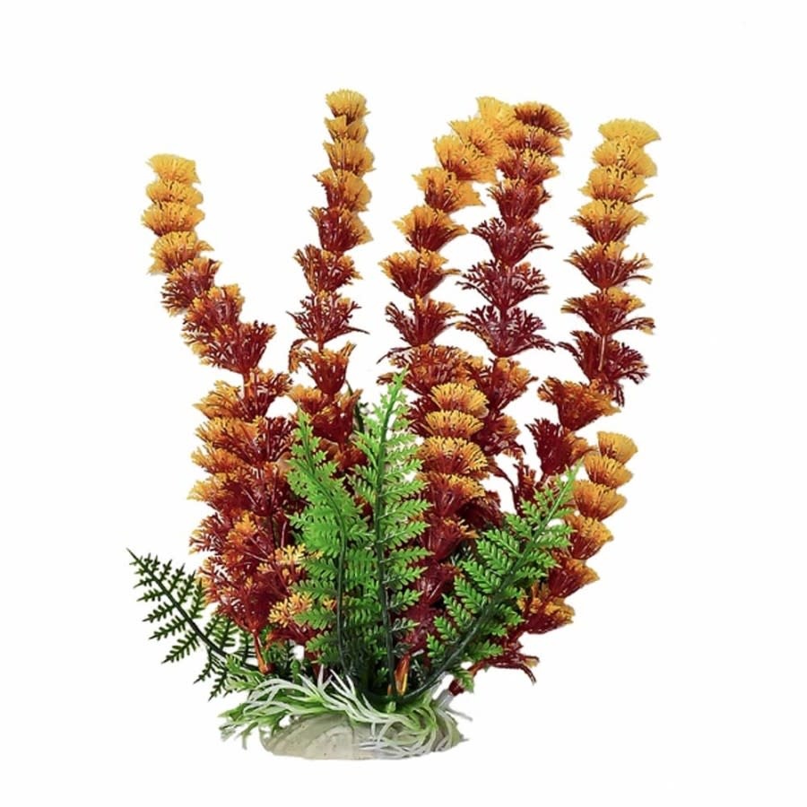 AQUATOP PLANT CABOMBA FIRE 6 IN - The Hidden Reef, Inc