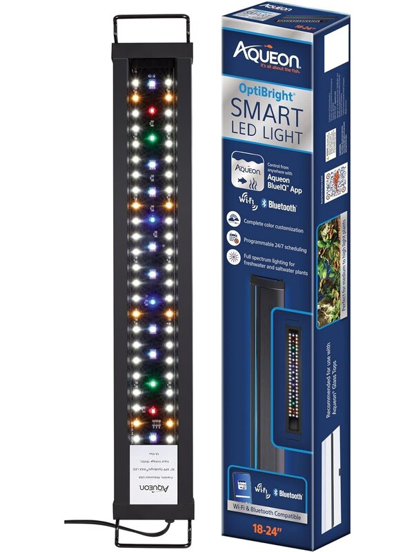 Lighting - The Hidden Reef, Inc