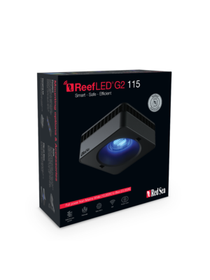 The Hidden Reef, Inc - The Hidden Reef, Inc