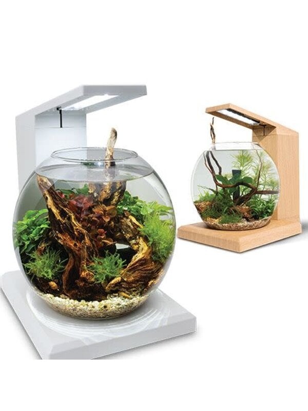 Aquarium - The Hidden Reef, Inc