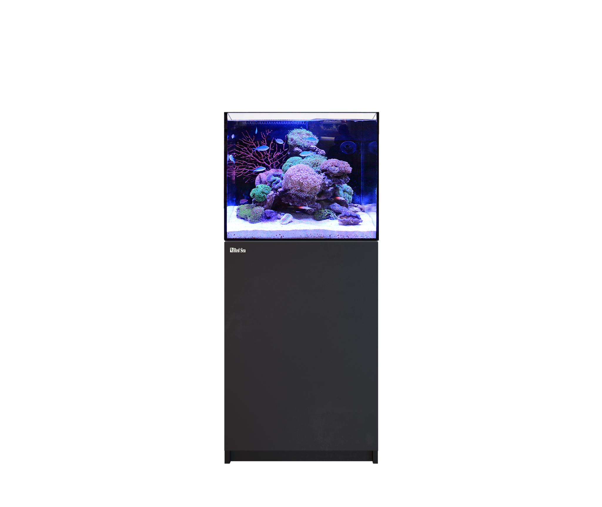 RED SEA REEFER 170 G3 BLACK - The Hidden Reef, Inc