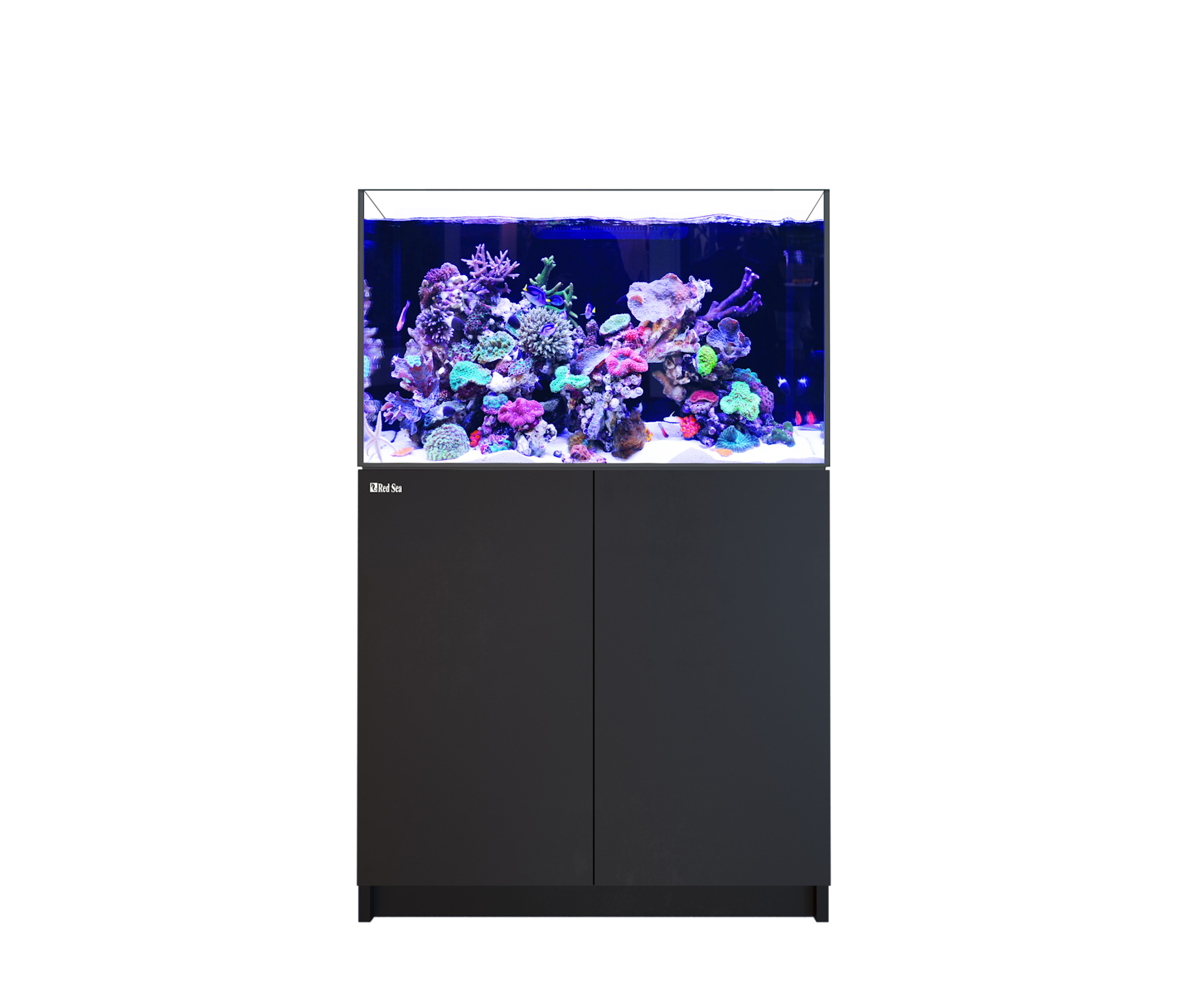 RED SEA REEFER 300 G3 BLACK - The Hidden Reef, Inc