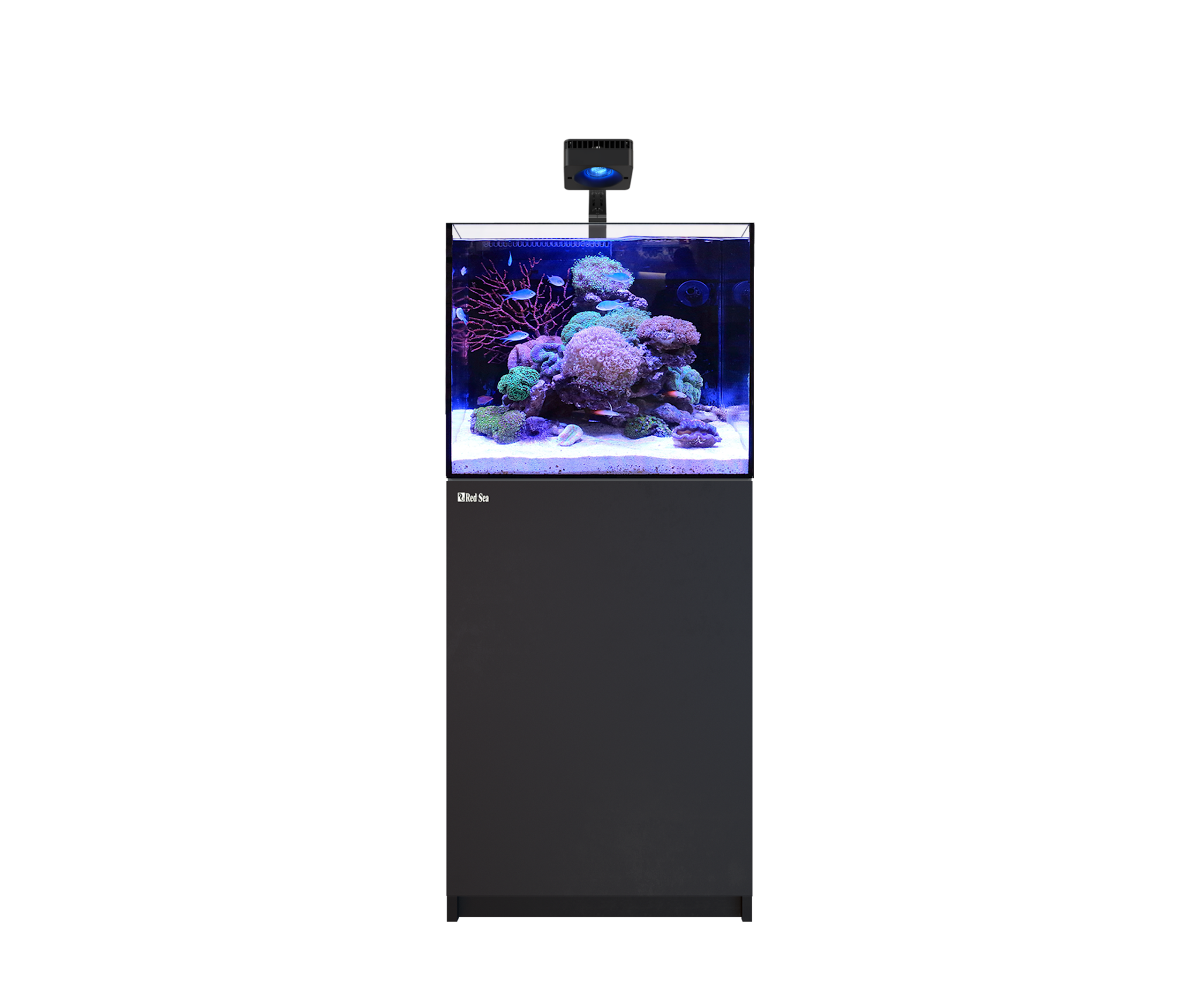 RED SEA REEFER 170 G3 DELUXE - BLACK ( INCL. 1 X RL115 & ARM ) - The ...