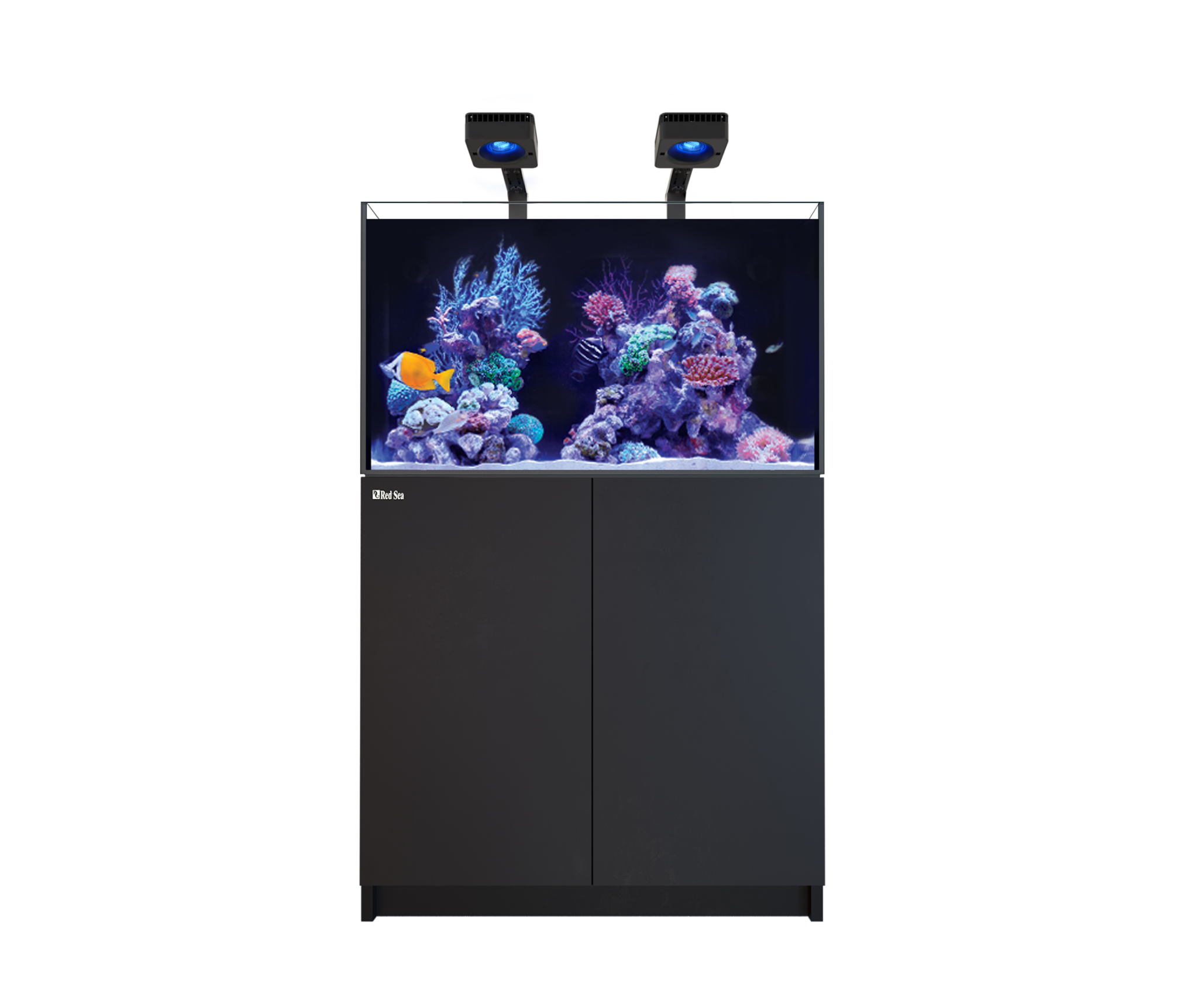 RED SEA REEFER 250 G3 DELUXE - BLACK (INCL. 2 X RL115 & ARM) - The ...