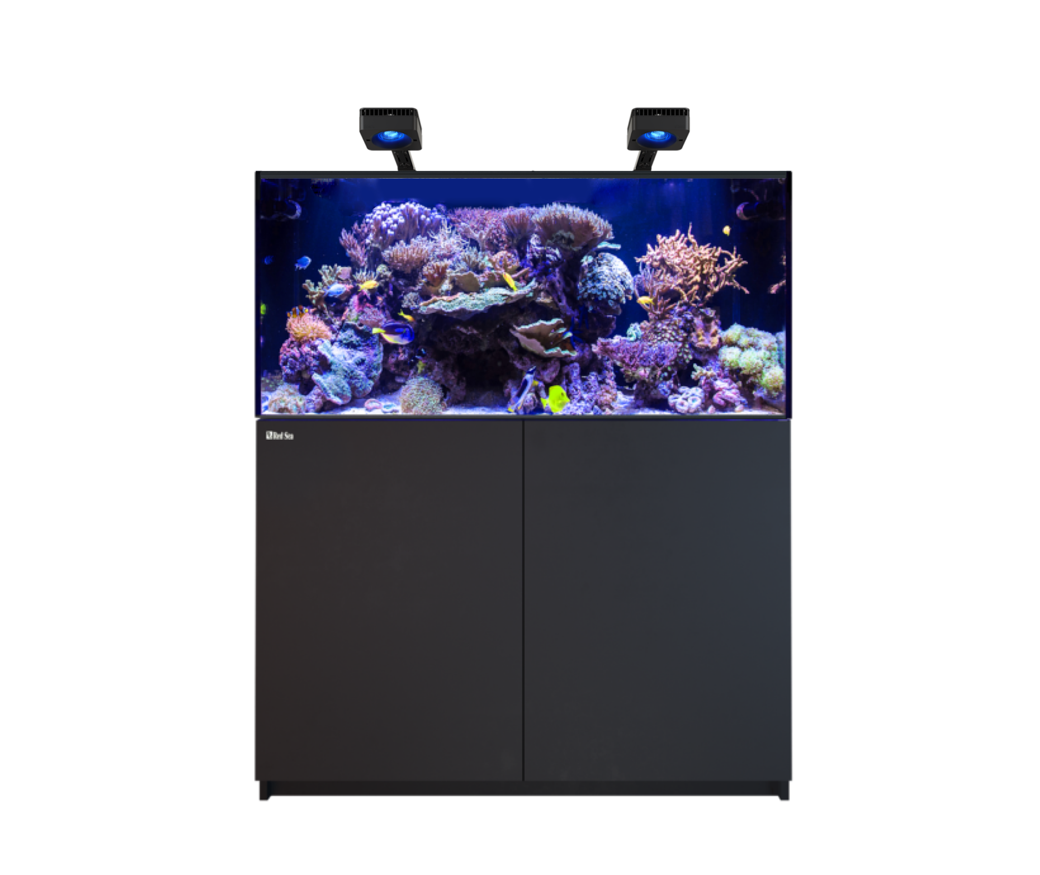 RED SEA REEFER 425 G3 DELUXE - BLACK (INCL. 2 X RL170 & ARM) - The ...