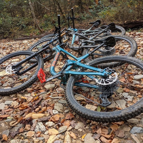 Pedal Driven Co. Bike Shop Sanford - Pedal Driven Co.