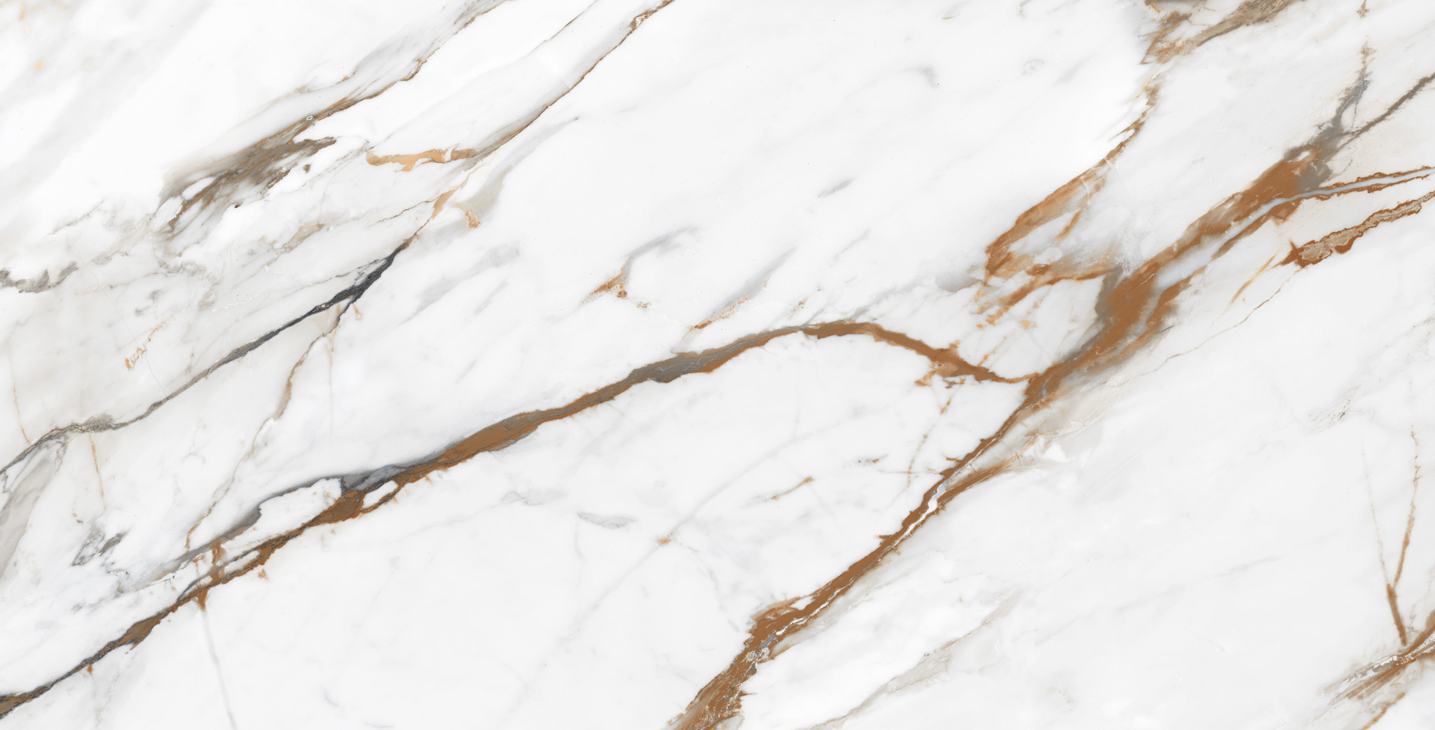 Tile Borghini Brown 24 x 48 Sugar - Tile and Decor