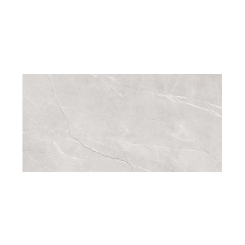 TILE-12X24-WIN 39 Matte - Tile and Decor