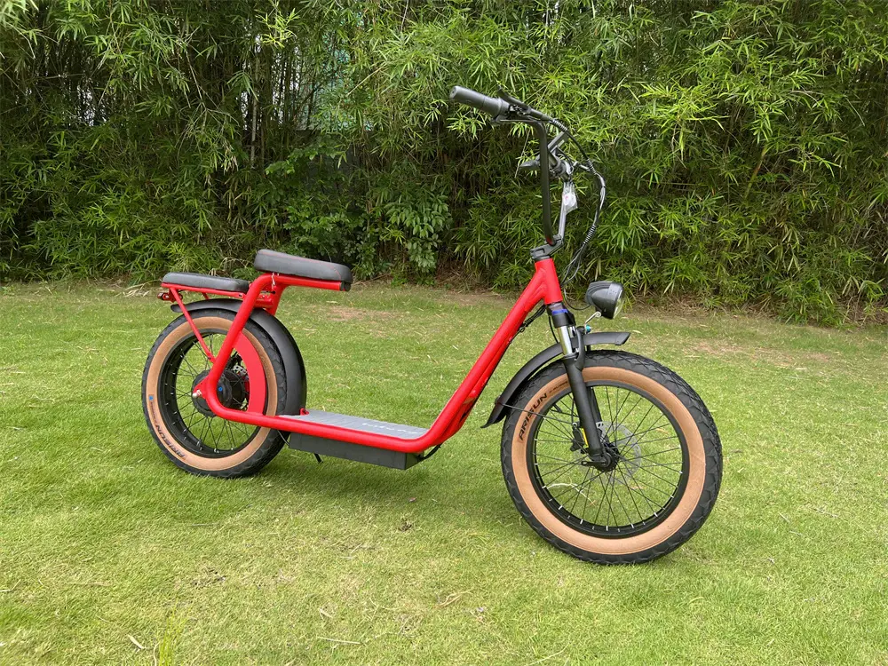 Beachcomber Electric Scooter - EbikeSC.com