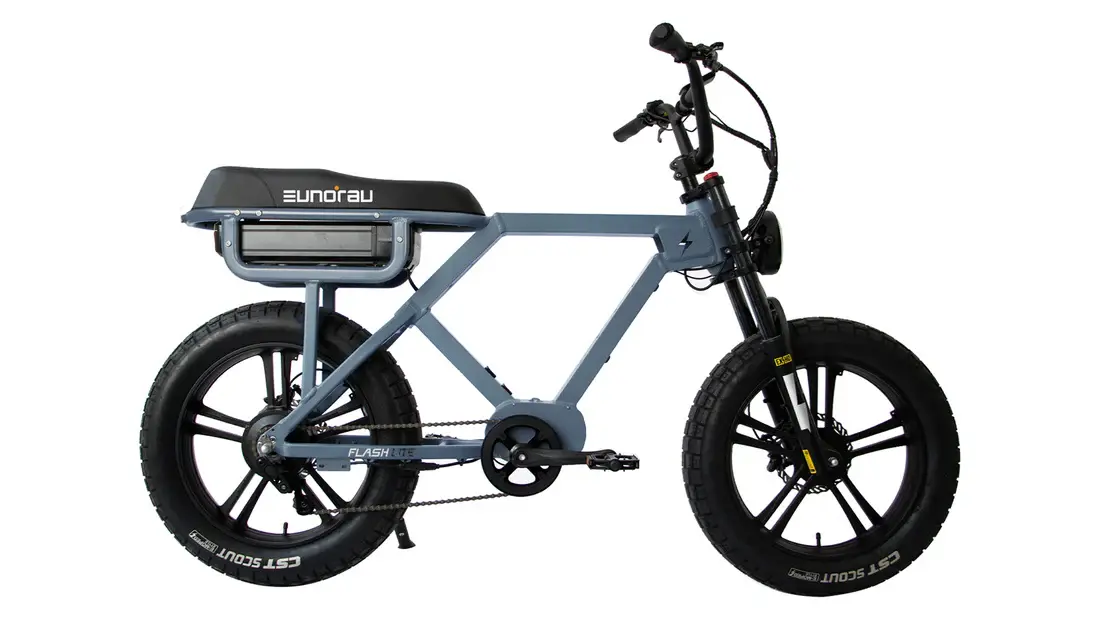 The FLASH electric bike - EbikeSC.com