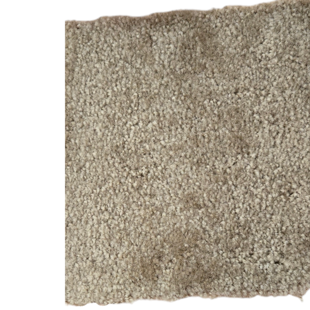 39986 Champagne Cut Pile Carpet Roll 12' x 48' - Bud's Warehouse