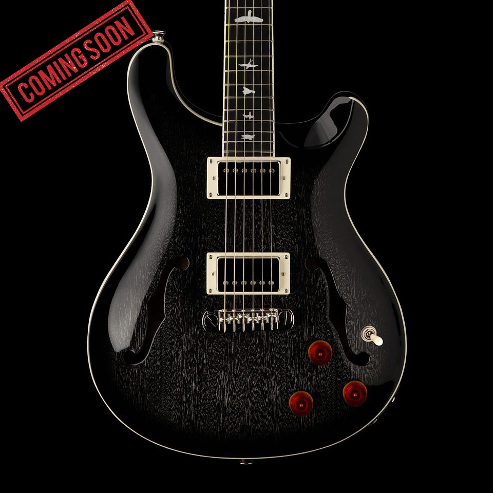 Collection - John Mann's Guitar Vault