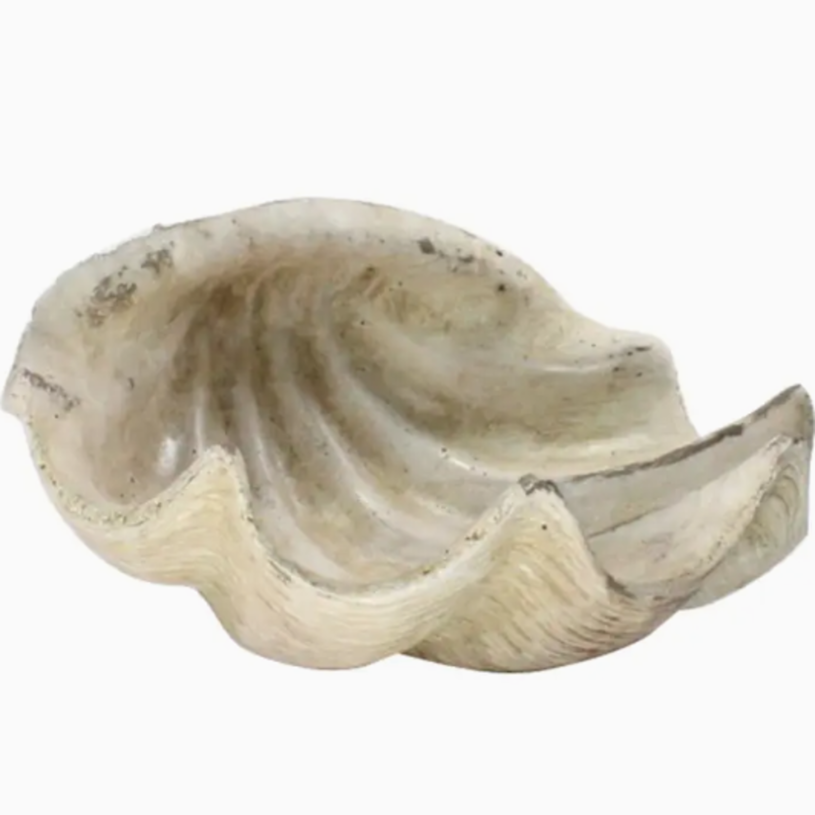 Cement Cast Clam Shell - Antique White - The Beach Nut