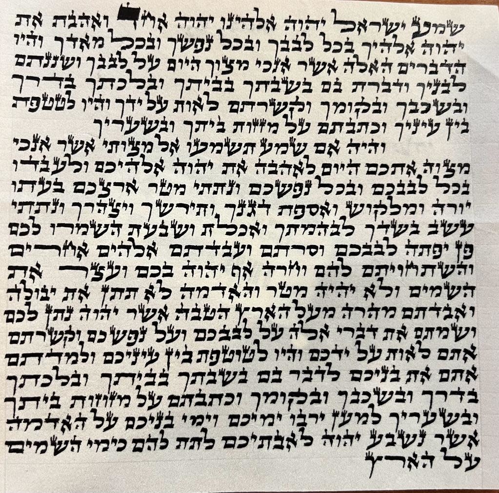 MEZUZAH SCROLL - ASHKENAZI ARI 12CM ALEF - Aspaclaria Judaica