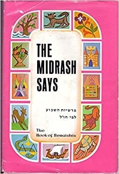 THE MIDRASH SAYS BEREISHIS - Aspaclaria Judaica