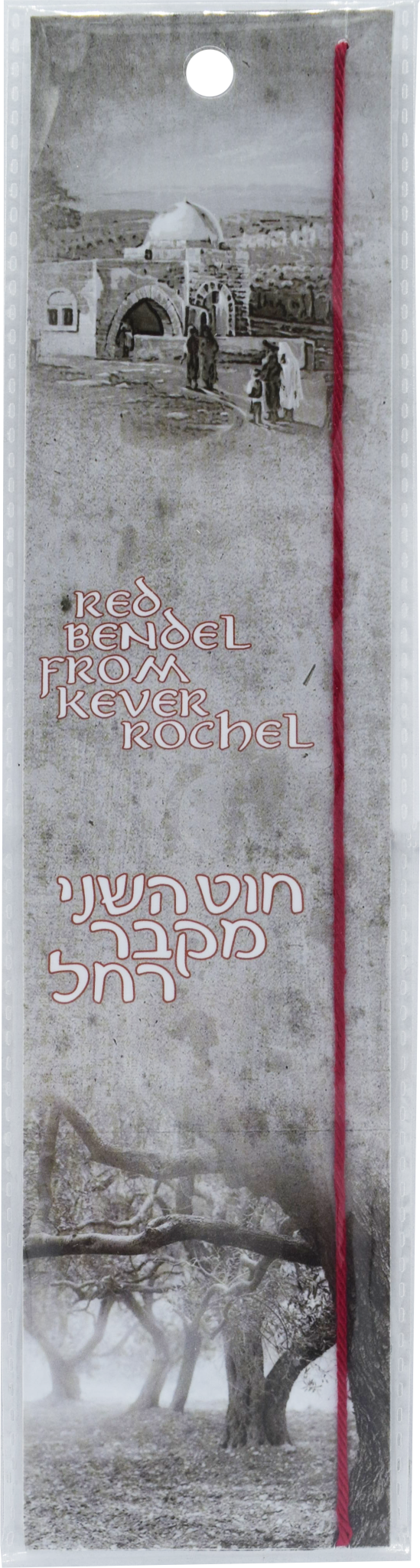 RED BENDEL FROM KEVER ROCHEL - Aspaclaria Judaica