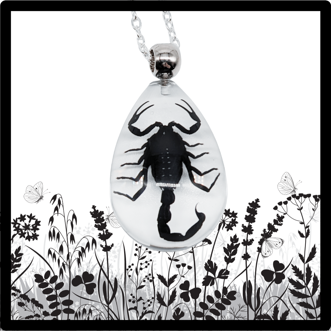 Black Scorpion in Resin Necklace with 18 inch chain - www.eDankest.com