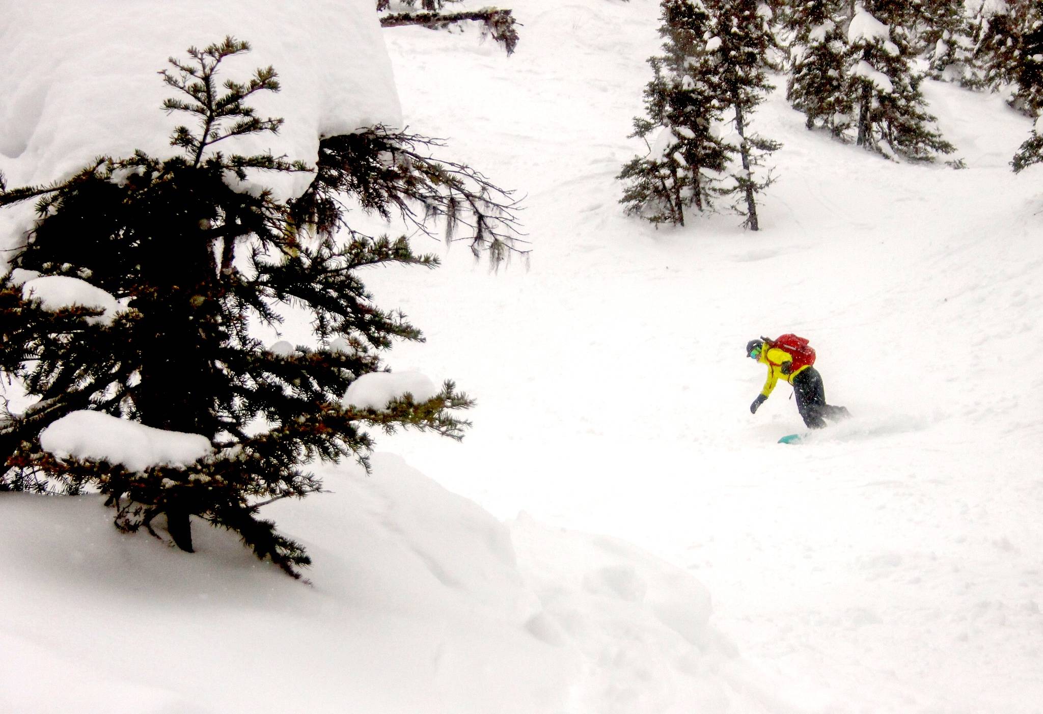 Location de skis à Chicoutimi - Tarifs de location Hiver 2023/2024 ...