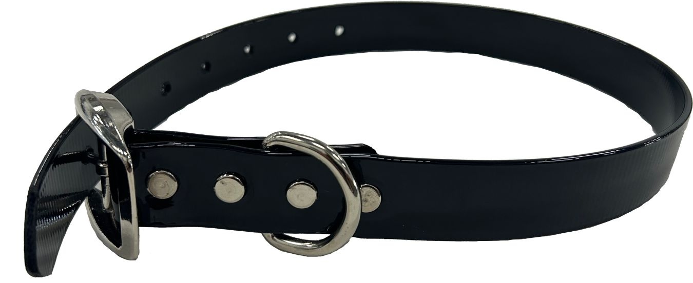 Bird Dog Collars 1" - Hawaii Hunters