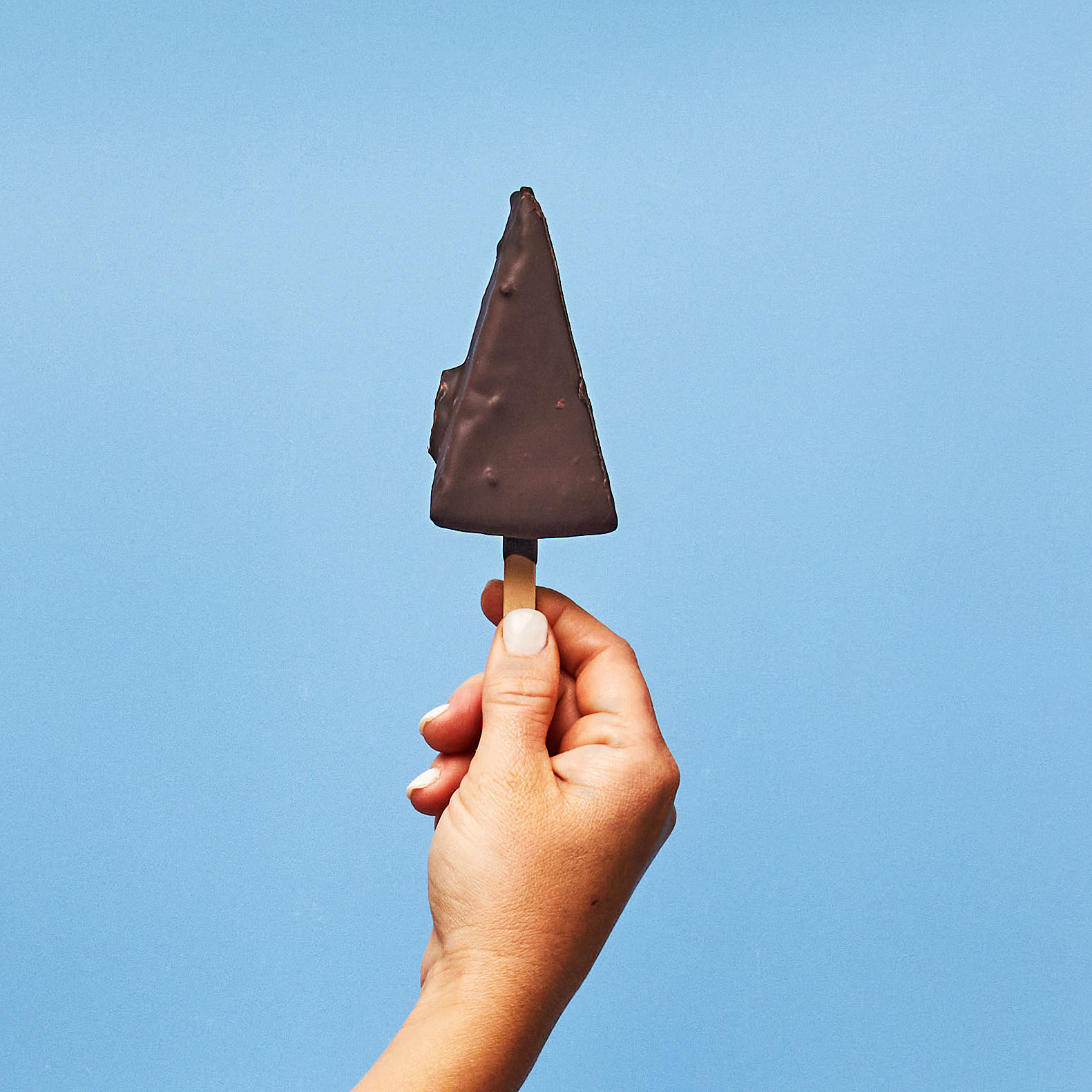 Kermit's Dark Chocolate Key Lime Pie Bars - Kermit's Key Lime Shop