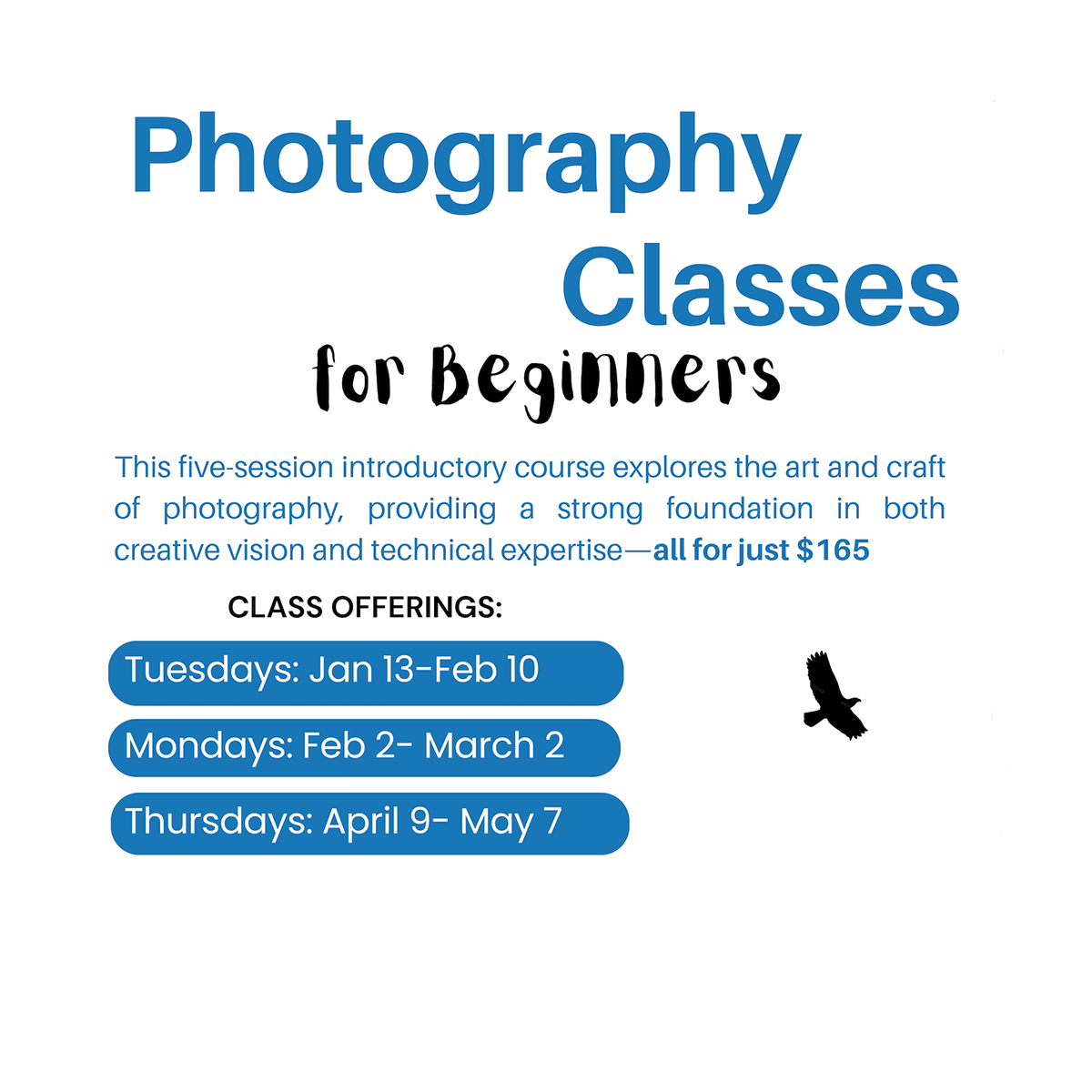Beginning Photography Class - Stewarts Photo