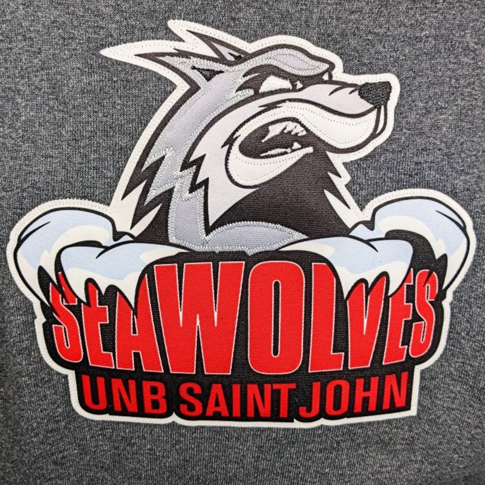 Seawolves Dri-Power Pullover Fleece Hoodie - UNB Saint John Campus Store