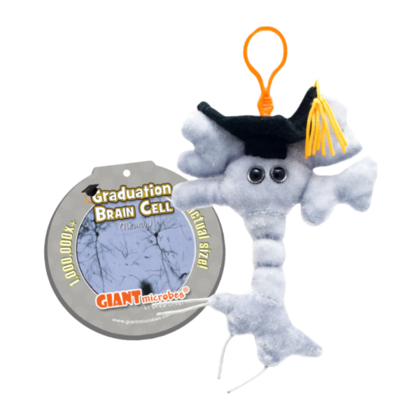 UNB Saint John Campus Store - UNB Saint John Campus Store