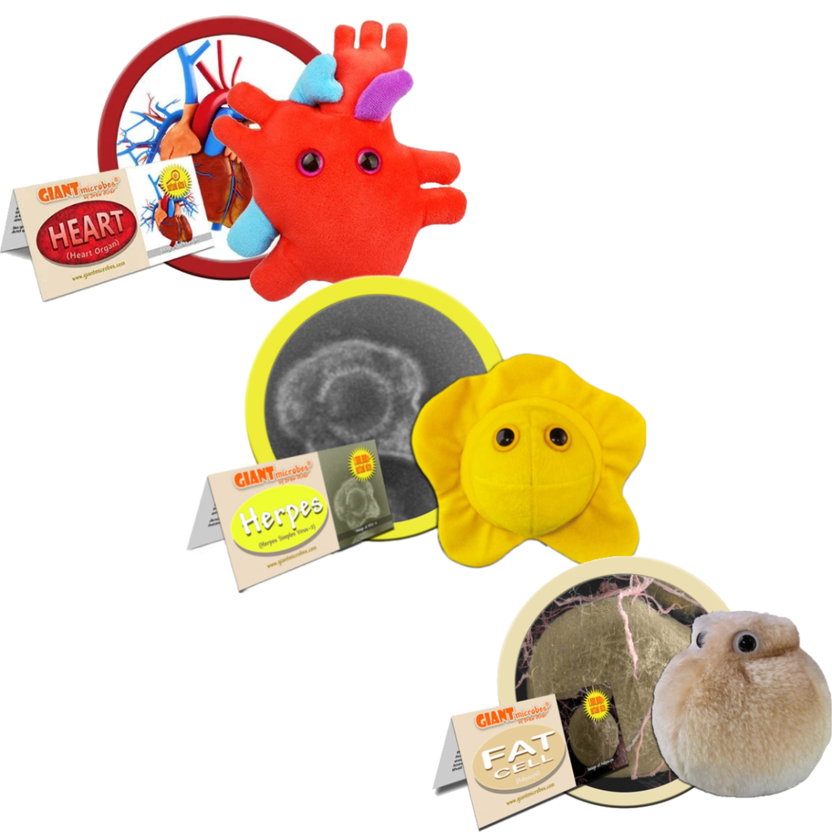 Giant Microbes - UNB Saint John Campus Store