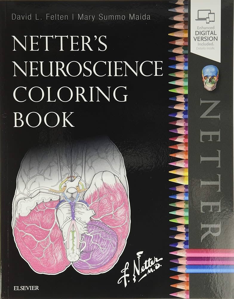Anatomía Cerebral De Netter Netter's Neurology, 2e: 9781437702736: