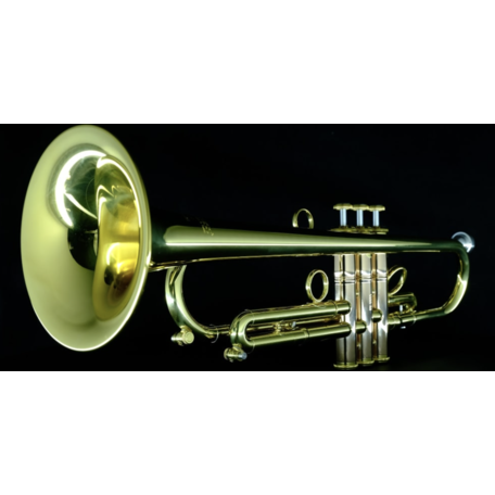 CarolBrass of the Rockies - CarolBrass of the Rockies