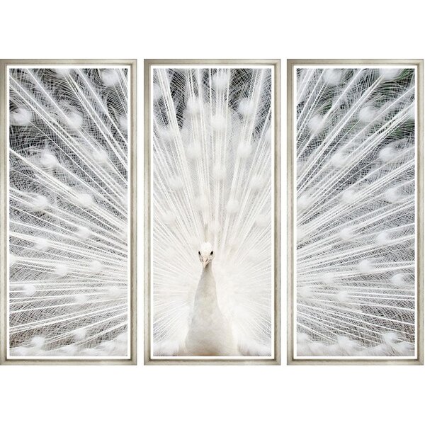 Trowbridge Gallery - Designer's Studio