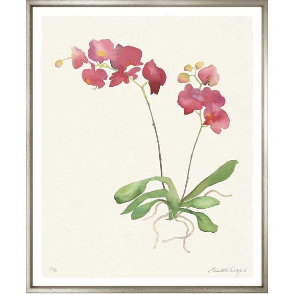 Trowbridge Gallery - Designer's Studio