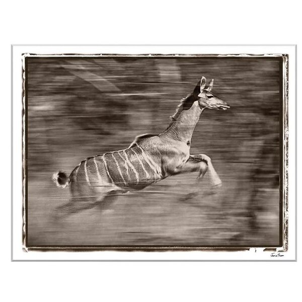 Trowbridge Gallery - Designer's Studio